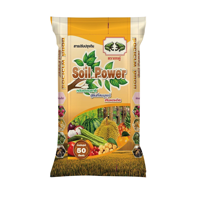 Home - บริษัท ซิตี้ พลานท์ จำกัด CITY PLANT CO.,LTD.